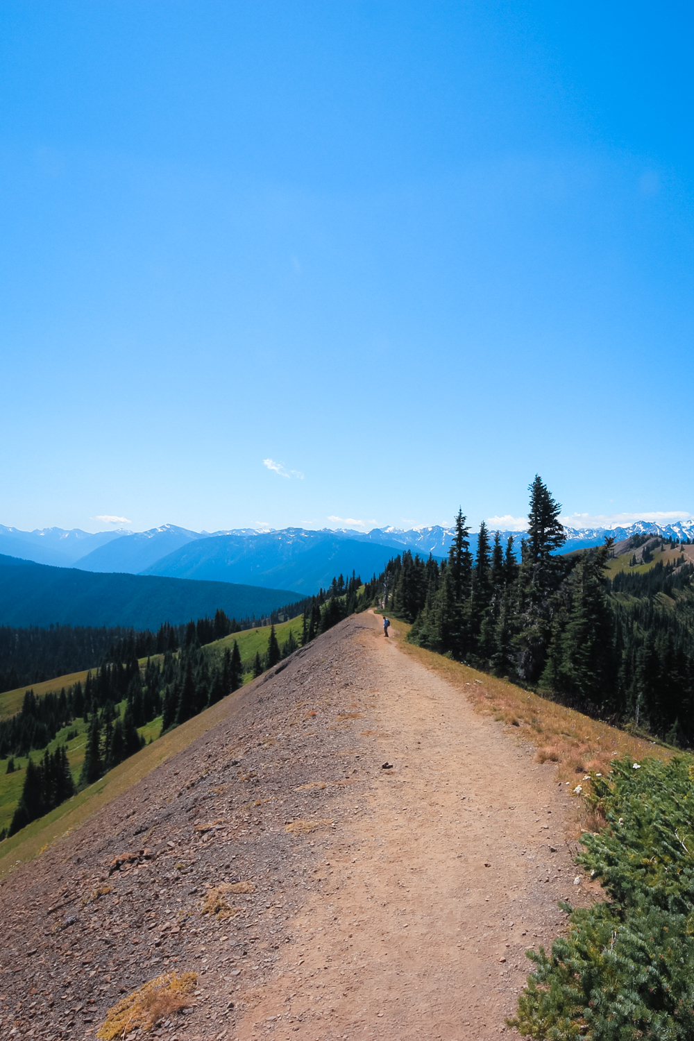 Klahhane Ridge | Olympic National Park, WA | Explore the Map