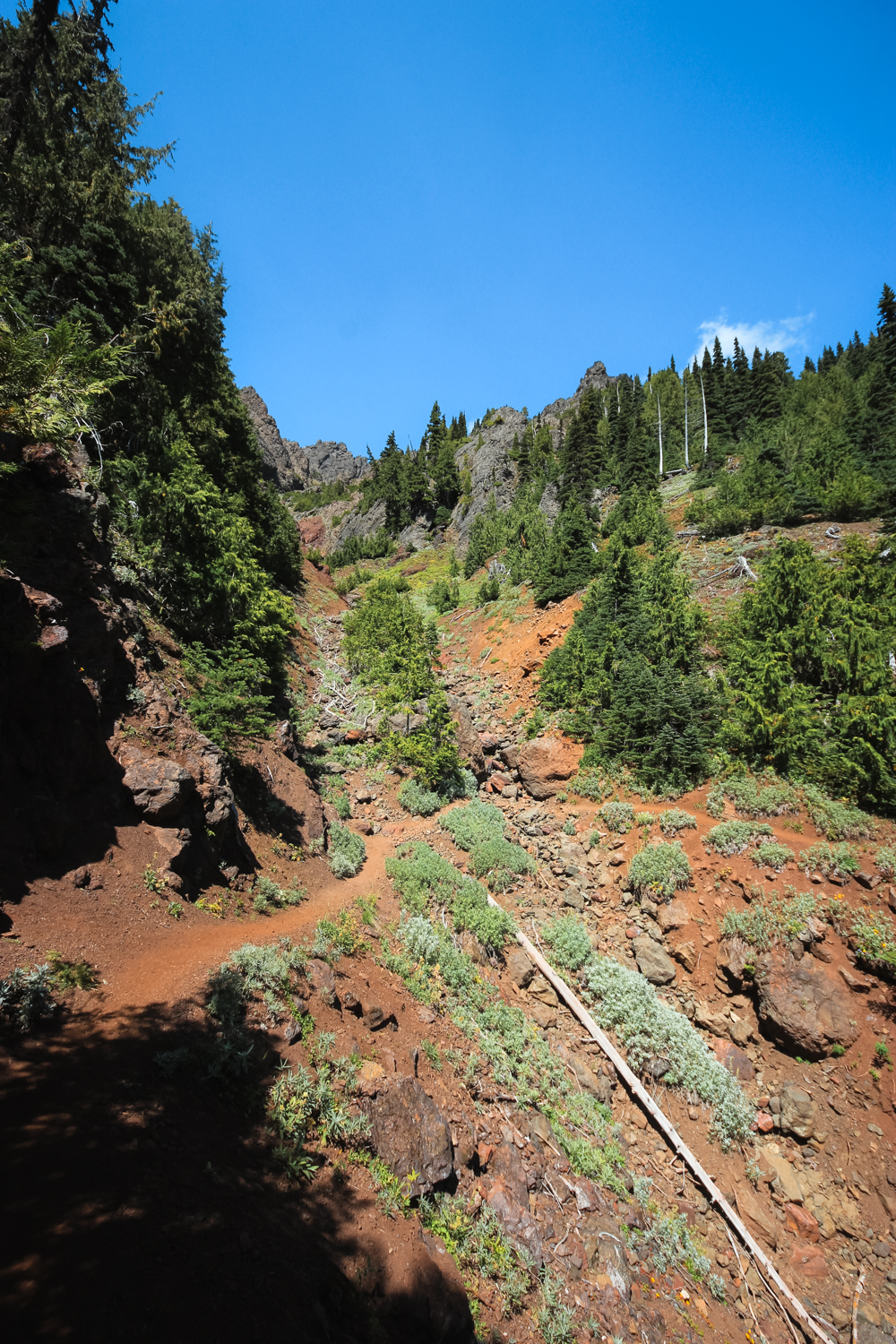 Klahhane Ridge | Olympic National Park, WA | Explore the Map