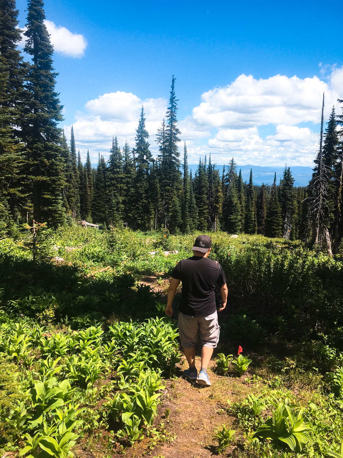 Rhonda Lake Trail, Big White | Kelowna, BC | Explore the Map