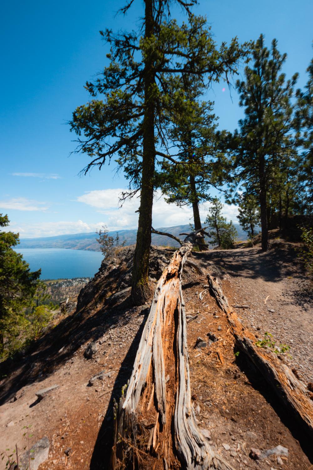 Pincushion Mountain | Peachland, BC | Explore the Map