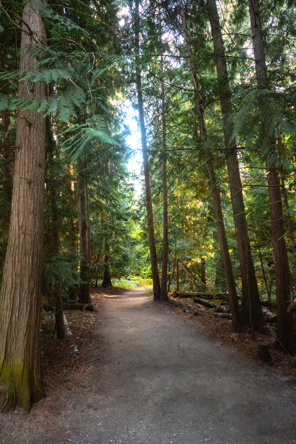 Mara Provincial Park | Okanagan-Shuswap, BC | Explore the Map