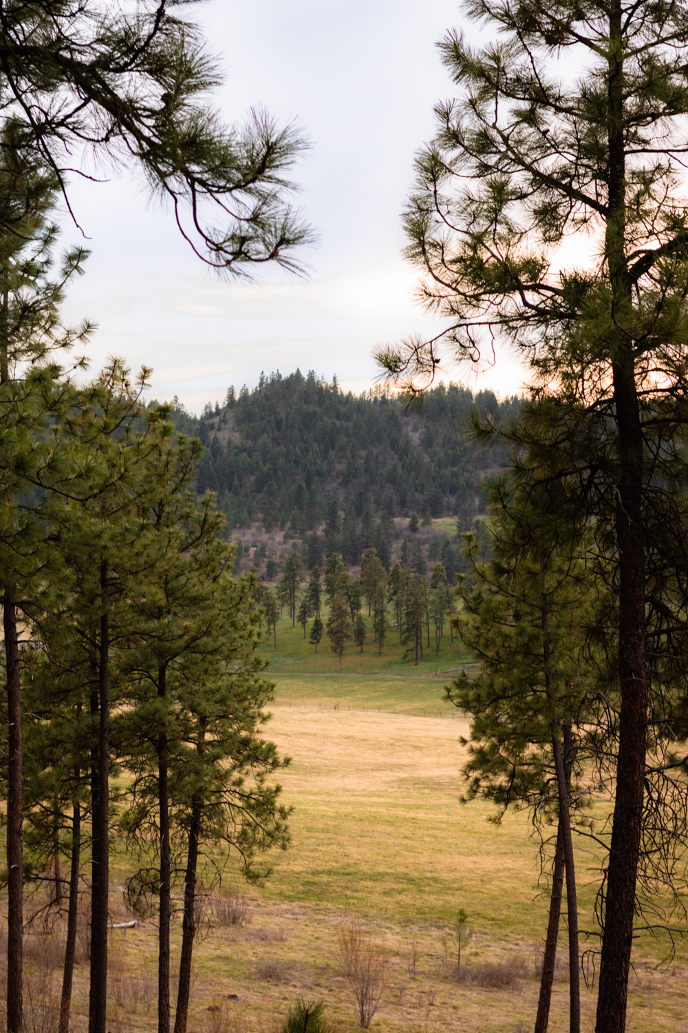 Quail Ridge Linear Park | Kelowna, BC | Explore the Map