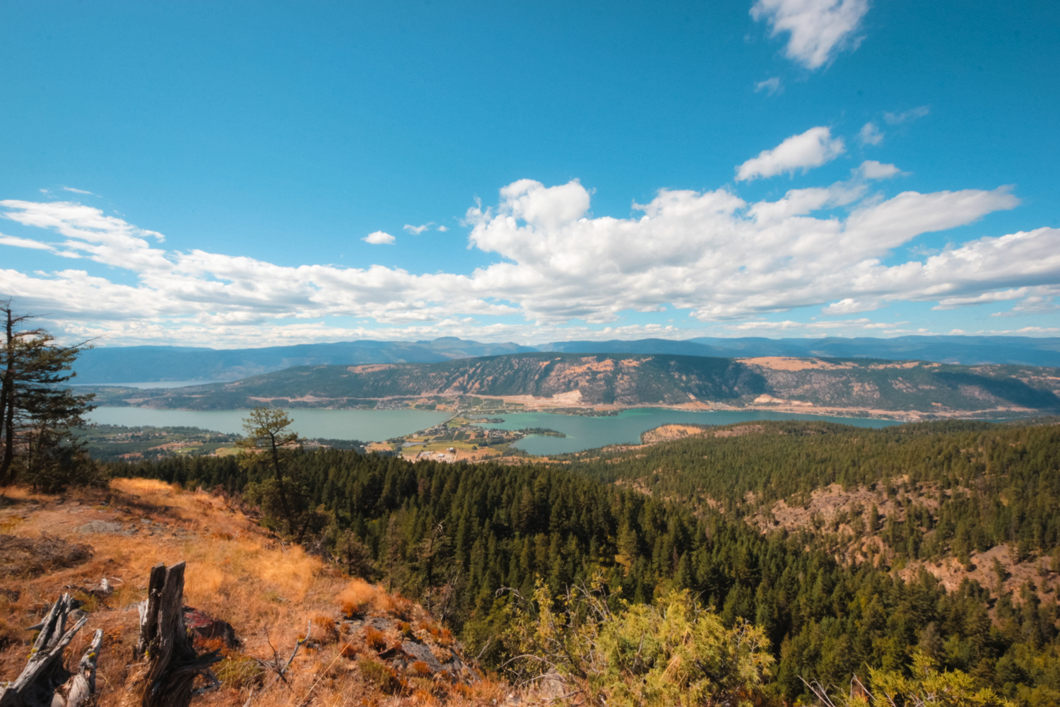 Oyama Lookout | Kelowna, BC | Explore the Map