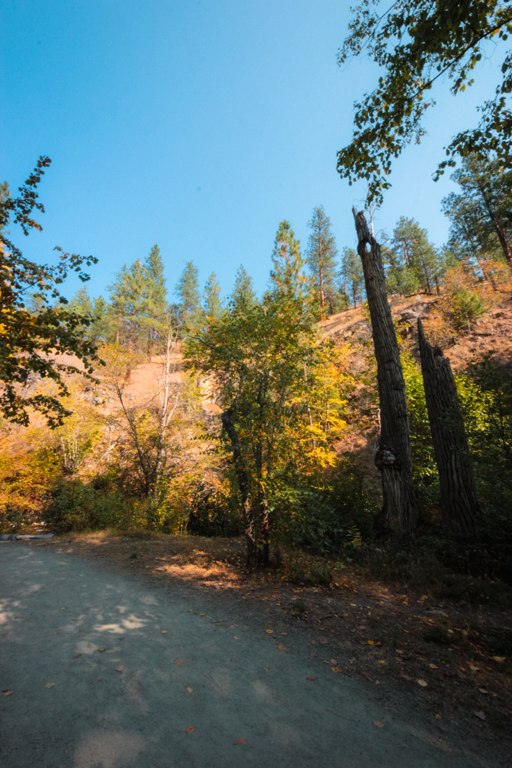 Hardy Falls Regional Park | Peachland, BC