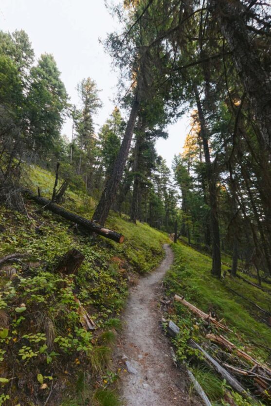 Pillar Provincial Park | Falkland, BC