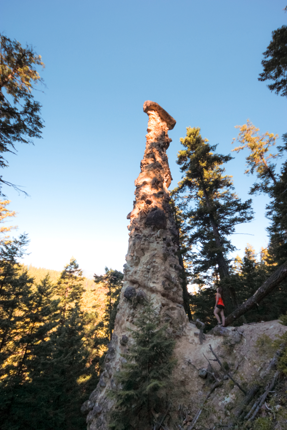 Pillar Provincial Park | Falkland, BC