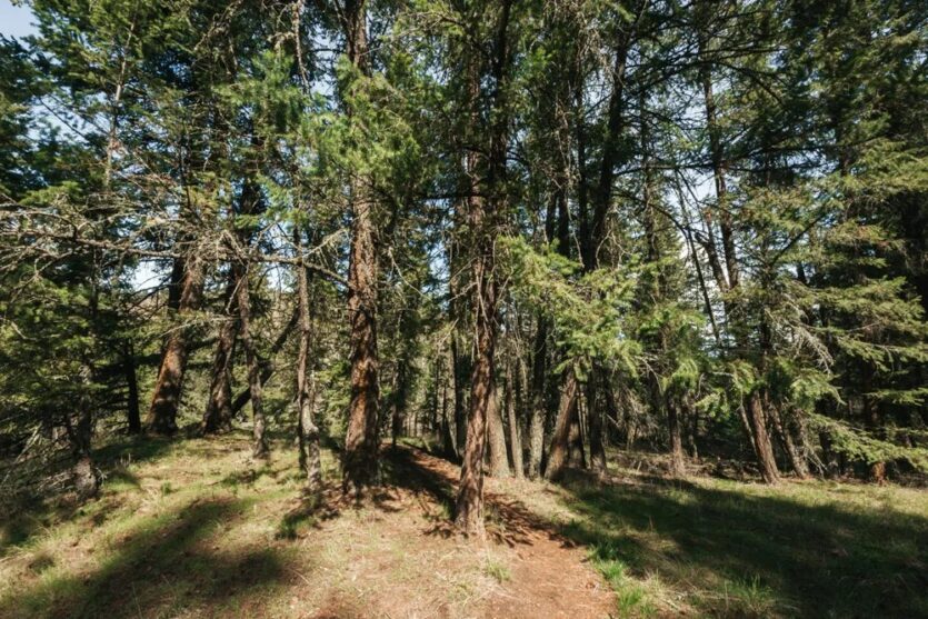 Cosens Bay Waterfall | Kalamalka Provincial Park, Vernon
