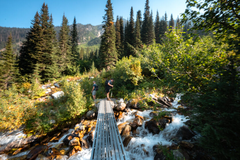 Perley Rock Trail | Glacier National Park, Canada