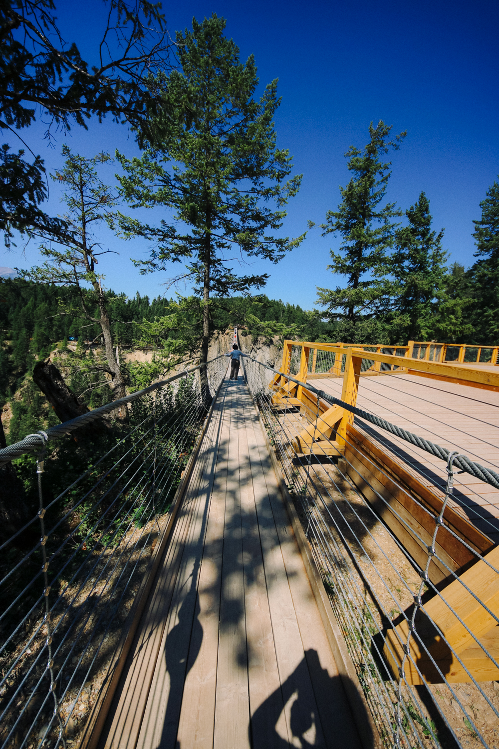 Golden Skybridge: Suspension Bridges & Adventure Park